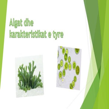 Algat dhe karakteristikat e tyre | PPTX