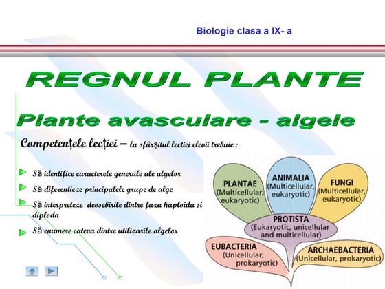 probleme-genetica- propuse spre rezolvare | PDF