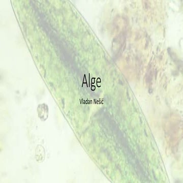 Nervni sistem čoveka | PPT