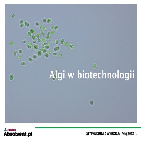 Algi w biotechnologii | PPT