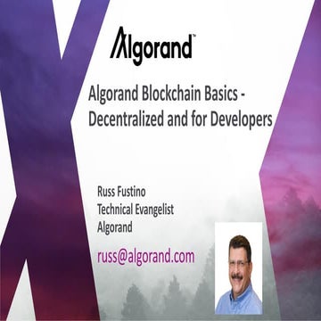 Algorand Blockchain Basics Decentralized And For Developers Ppt