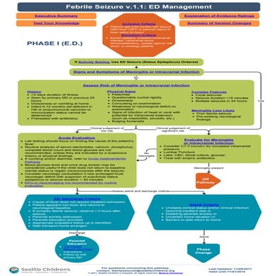 Algorithm febrile seizures | PDF