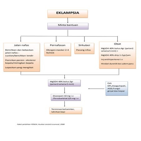 Algoritma eklampsia | DOCX