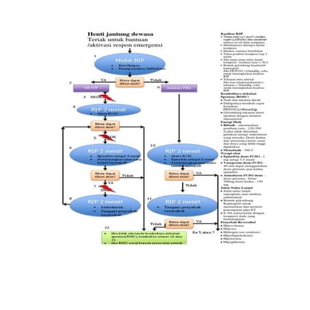 algoritma rjp 34.docx