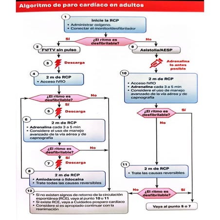 Algoritmos AHA procedimiento en el área cardiovascular | PDF