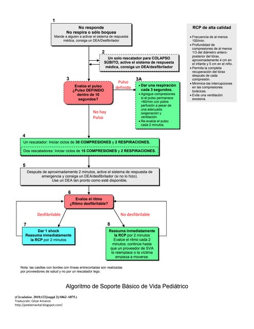 Algoritmos de reanimacion cardiopulmonar basica y avanzada. | PDF
