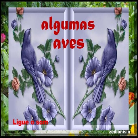 Algumas aves | PPSX