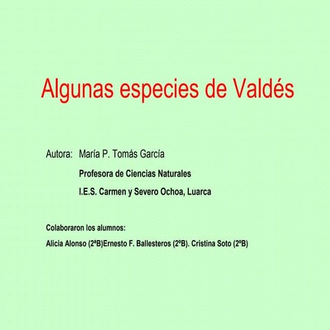 Algunas especies de valdés | PPT | South America Travel | Travel Locations