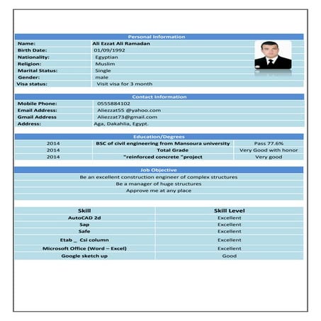 Qaisar Ayub CV | DOCX