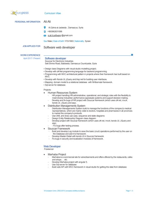 VivekSingh Cv for .Net