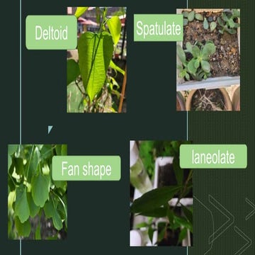 Penggunaan pes dalam soalan kbat spm (1) | PPTX