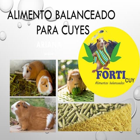 ALIEMENTO BALANCEADO PARA CUYES FORTI CUY.pptx