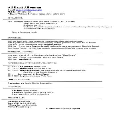 Ali ezzat cv | PDF
