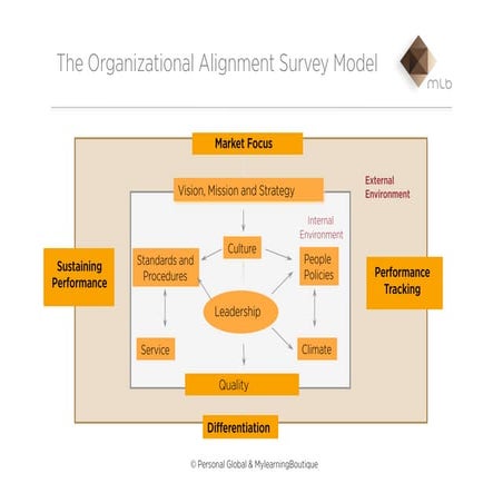 The Organisational Alignment Model | PDF