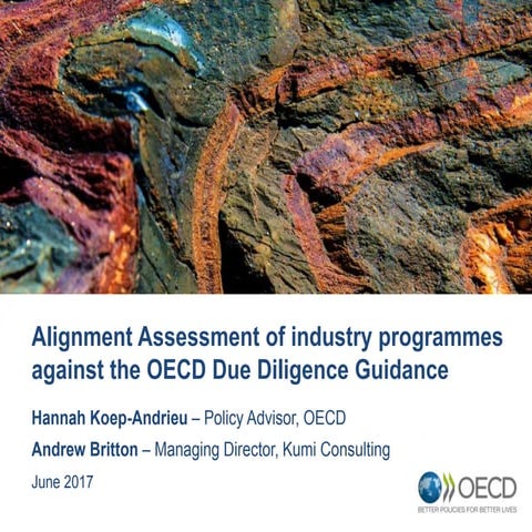 Alignment Assessment of industry programmes against the OECD Due ...