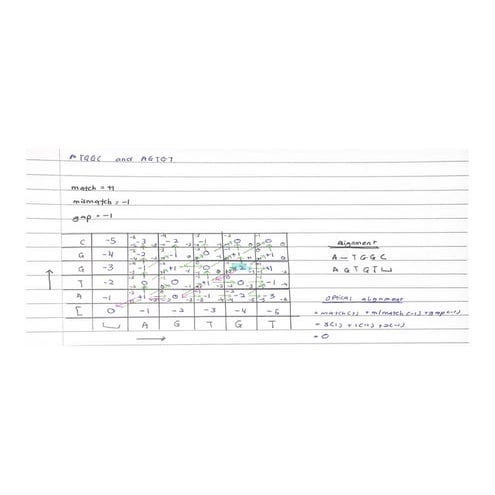 Alignment Algorithms Pdf
