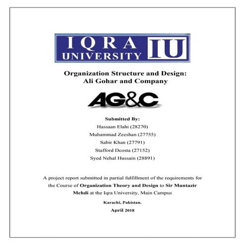 Organization Structure and Design: Ali Gohar and Company | PDF