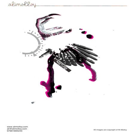 Ali Illustration Folio | PDF