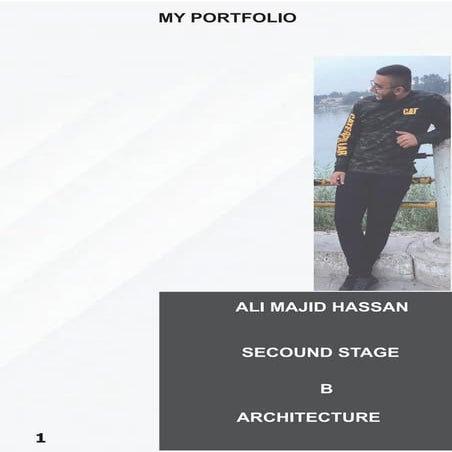 Ali majid 31 | PDF