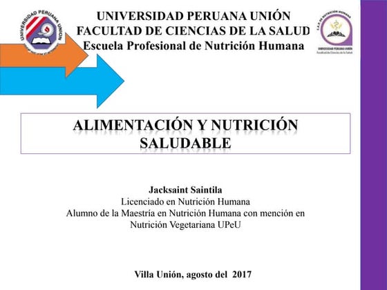 ALIMENTOS SALUDABLES Y SUS ESTRATEGIASSS | PDF