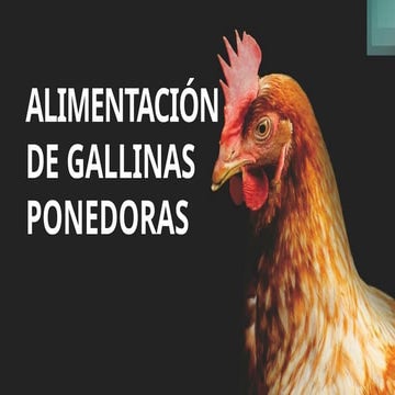 ALIMENTACION-DE-GALLINAS-PONEDORAS (2).pptx