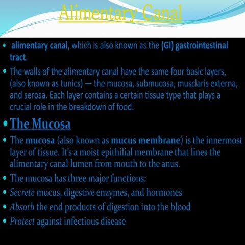 ACCESSORY ORGANS OF DIGESTIVE SYSTEM | PPTX