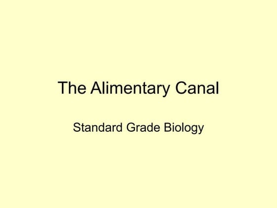 Digestive System Grade 4 igcse easy notes ppt | PPT | Nutrition ...