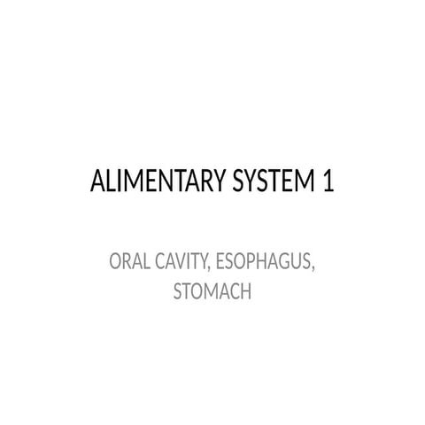 ALIMENTARY SYSTEM and its metabolic processess 1.pptx