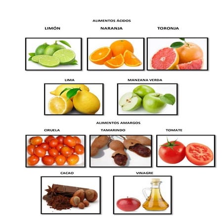 Lista De Alimentos Amargos