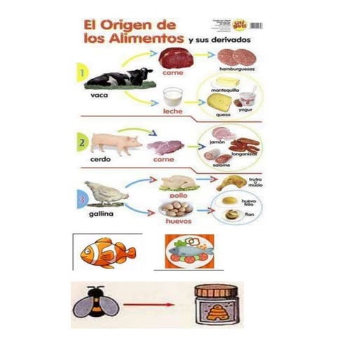 Alimentos de Origen Animal.docx