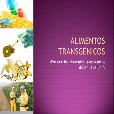 Alimentos transgénicos | PPTX