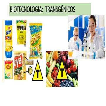 ALIMENTOS TRANSGÊNICOS.pptx