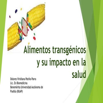 Alimentos transgénicos y su impacto en la salud | PPTX