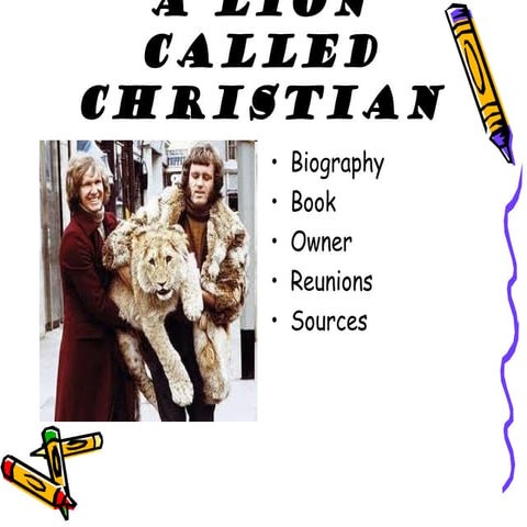 A lion called christian | PPT