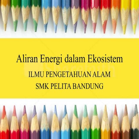 Aliran energi dalam ekosistem | PPTX