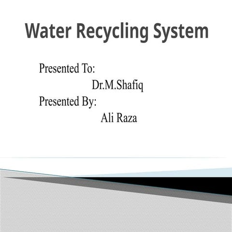 Ali Raza (22-cle-28).pptx presentation on staying a new business plan | PPT