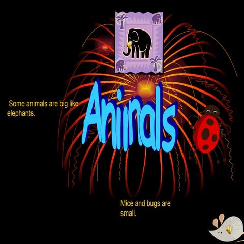 Ali's Animal Slide Show | PPT