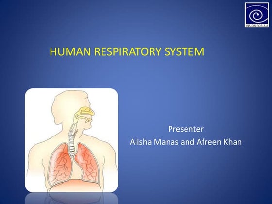 Grade 8 - Respiratory System | PPT | Lung and Respiratory Health ...