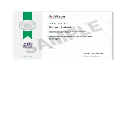 Alison PETROLEUM ENGINEERING -PRINCIPLES AND CONCEPTS certificate 2025 ...