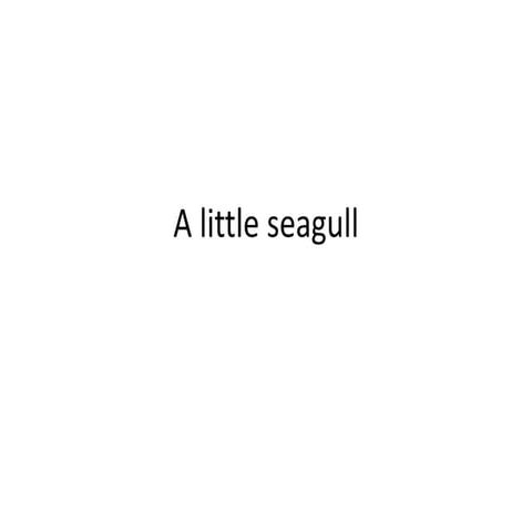 A little seagull | PPT