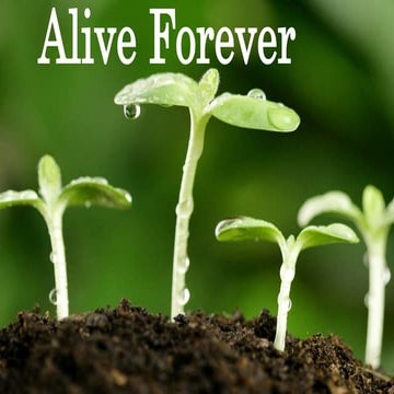 Alive forevermore | PPTX