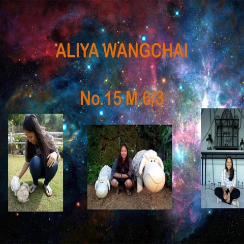 Aliya wangchai | PDF