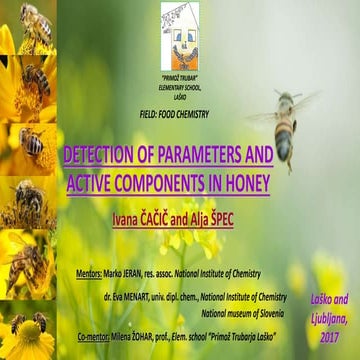 CHemistry project on HOney analysis | DOCX