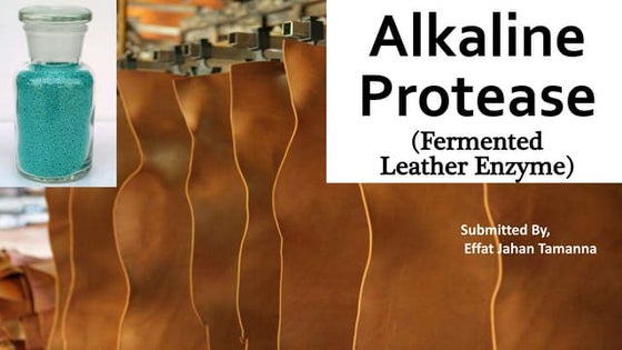 Isolation, identification and screening of alkaline protease from thermophilic fungal species | PDF