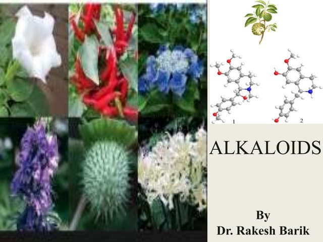 Alkaloids | PPT