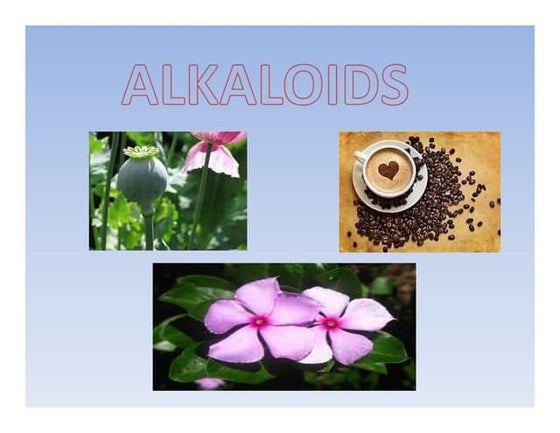 Isolation, Identification And Analysis Of Atropine | PPT