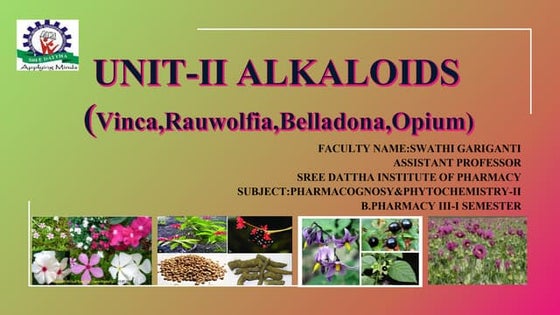 Opium: Biological source, Cultivation and collection, Morphology | PPTX ...