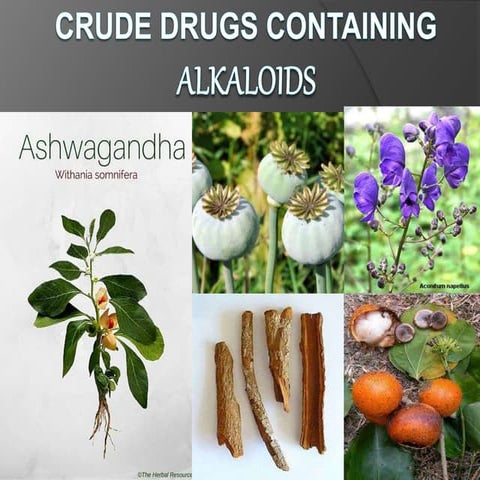 Alkaloids introduction | PPT