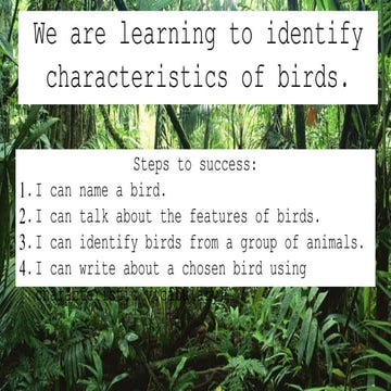 All about-birds | PPTX