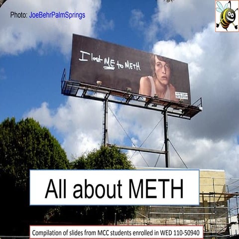 All About Meth | PPT